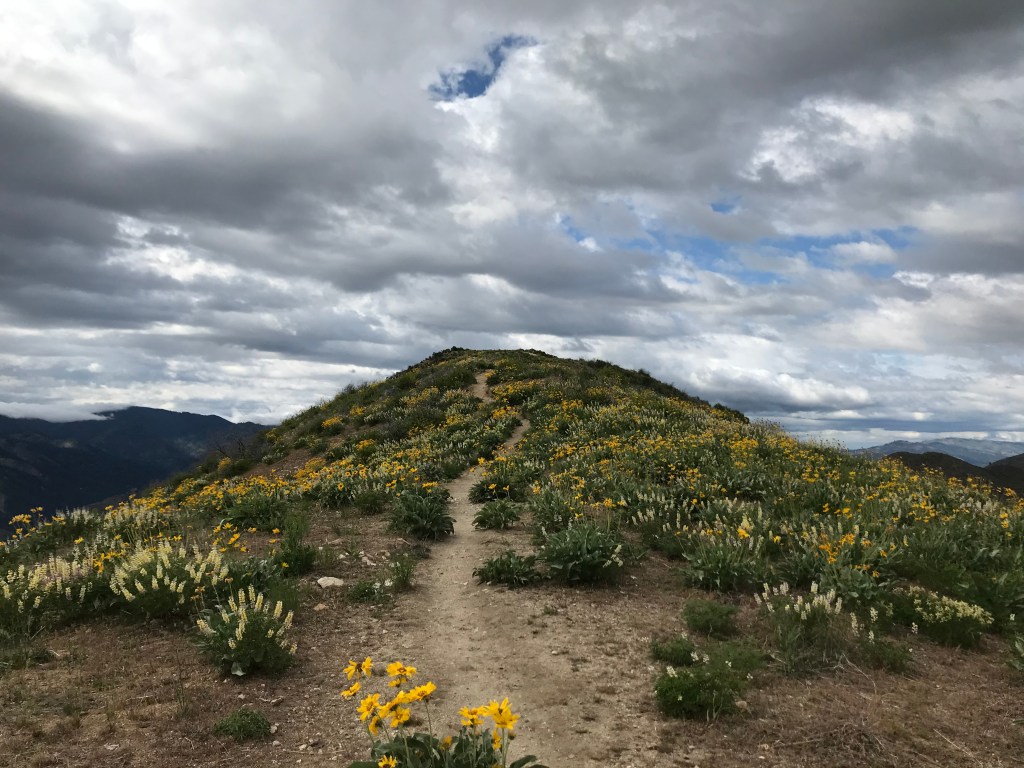 Rainbow Basin – Exploring Boise's Wilderness