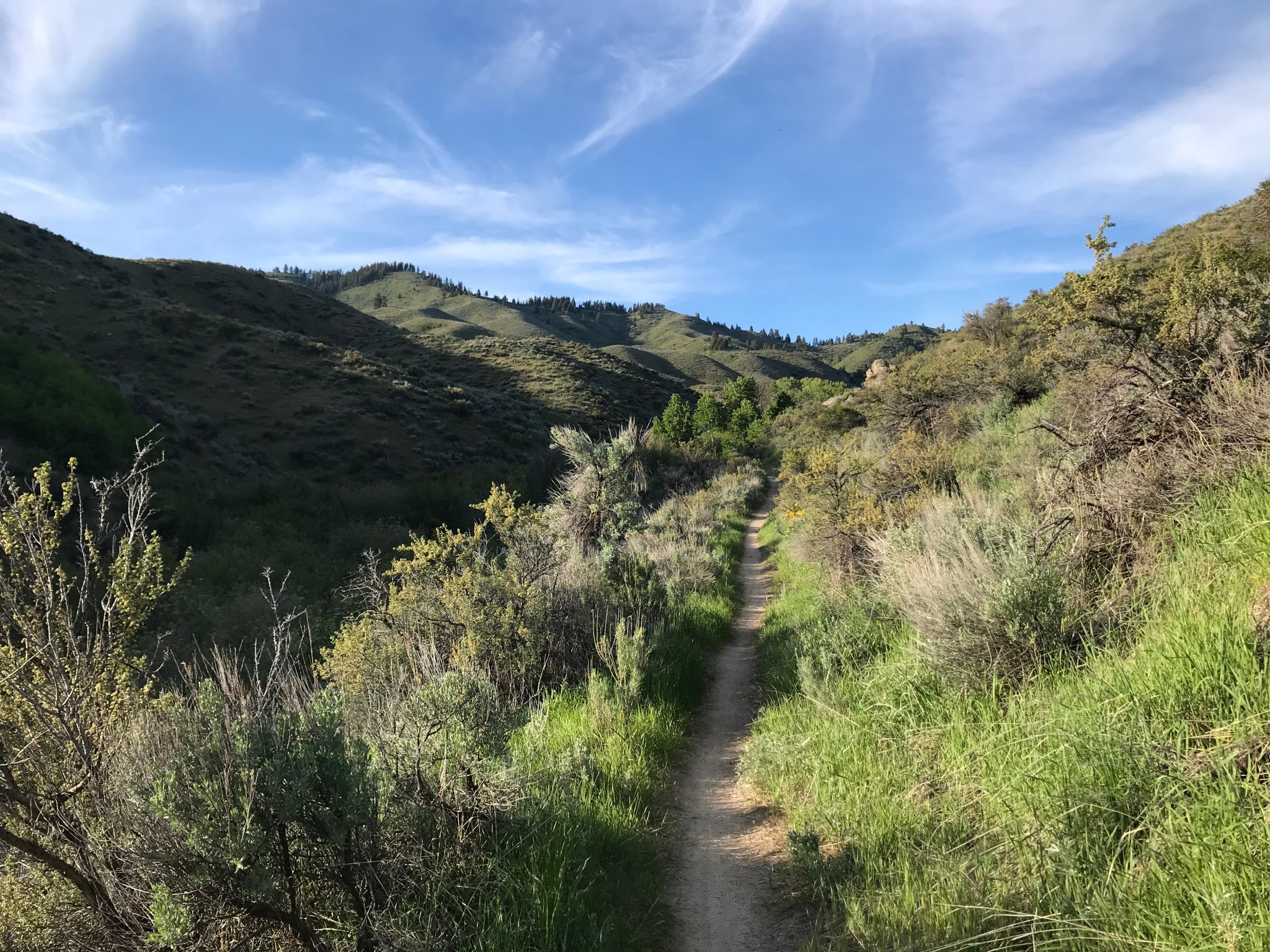 My Favorite Hikes in Boise’s Ridge to Rivers Trail System – Exploring ...