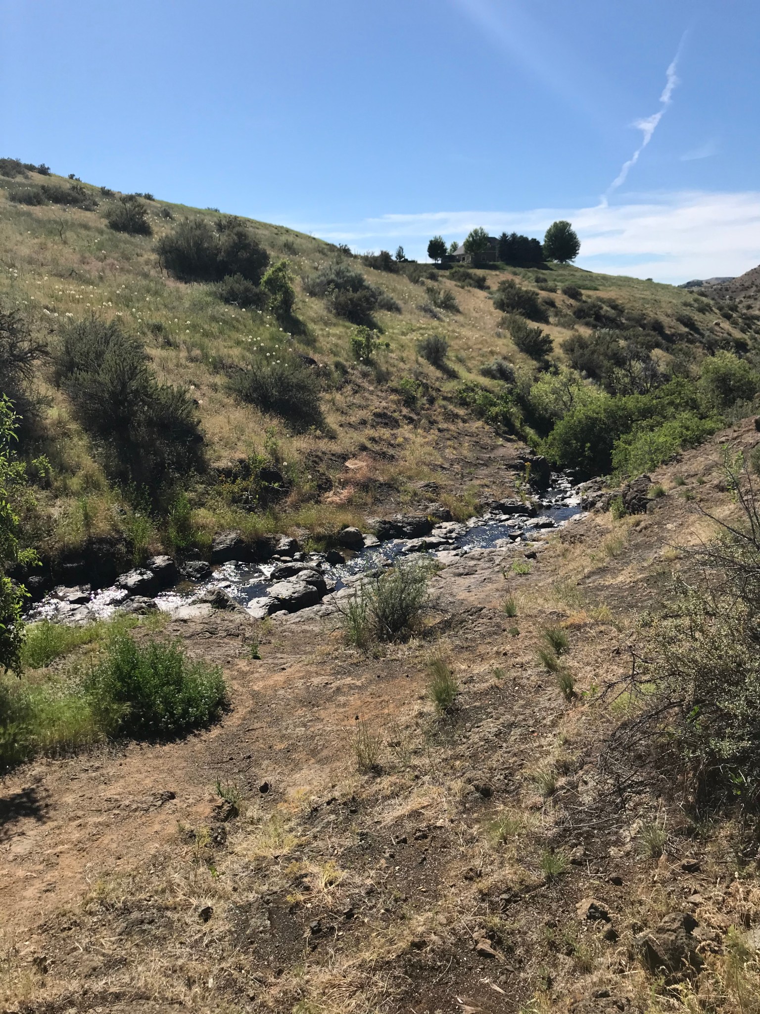 My Favorite Hikes in Boise’s Ridge to Rivers Trail System – Exploring ...