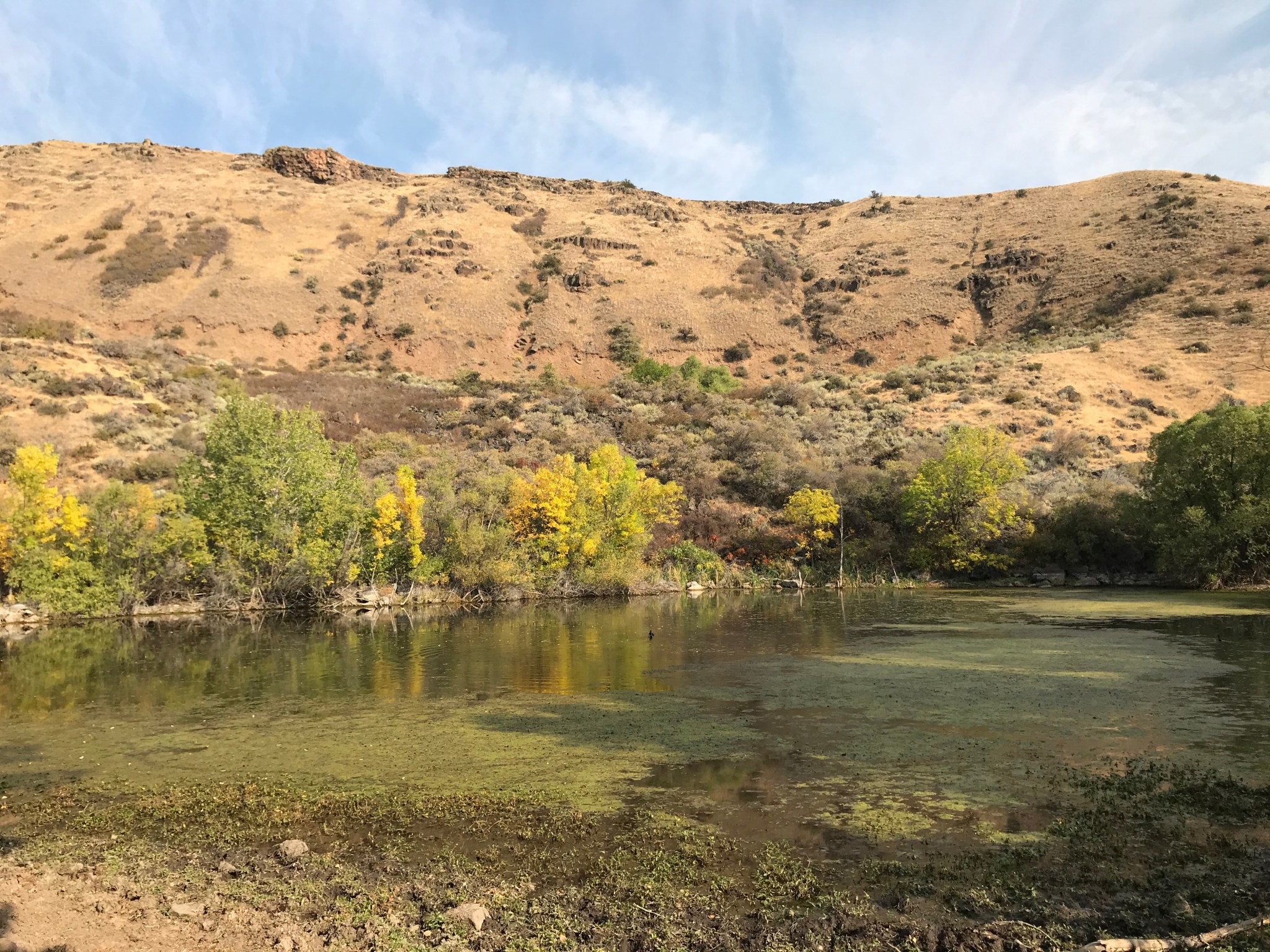 My Favorite Hikes in Boise’s Ridge to Rivers Trail System – Exploring ...