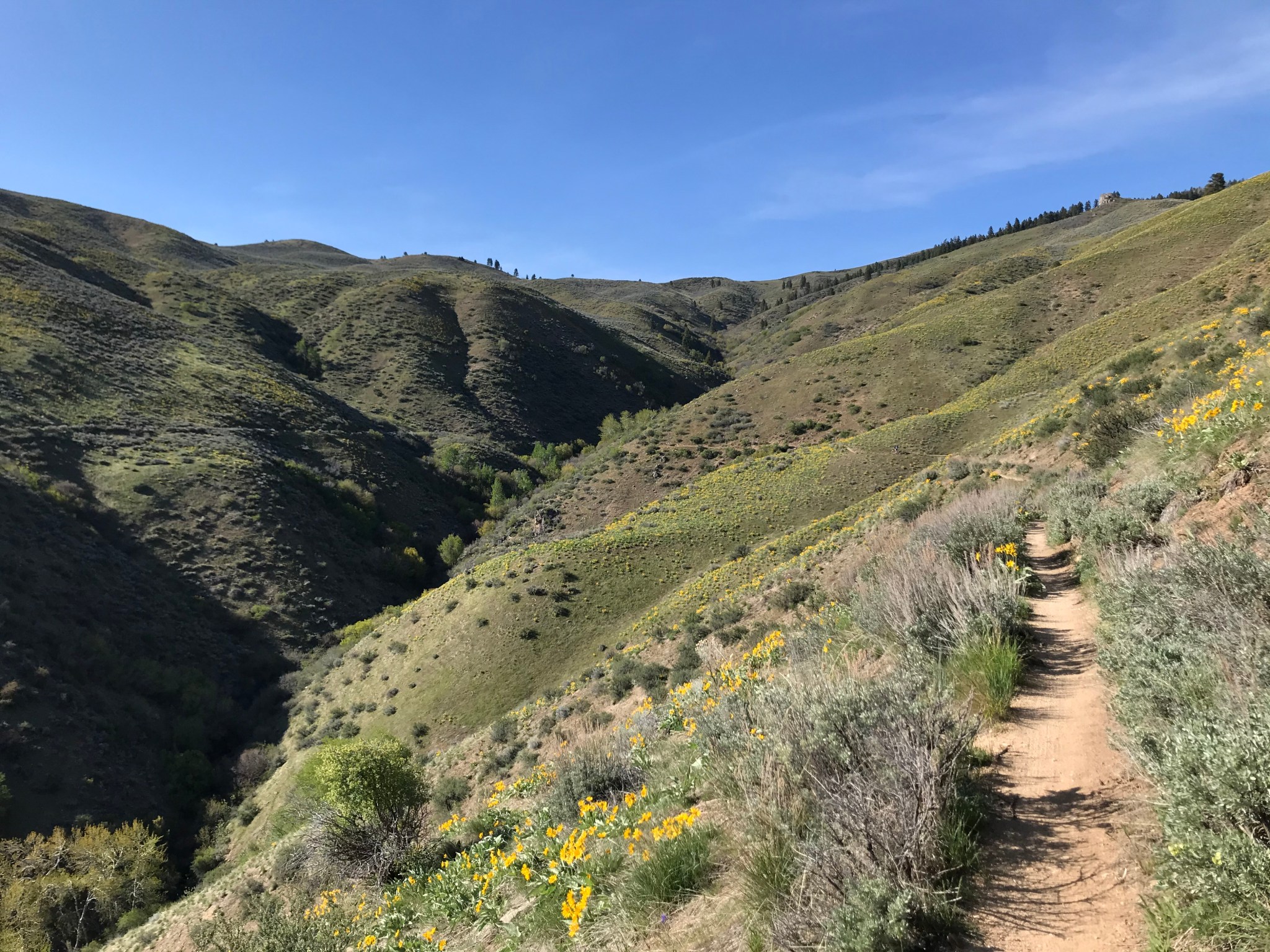 My Favorite Hikes in Boise’s Ridge to Rivers Trail System – Exploring ...
