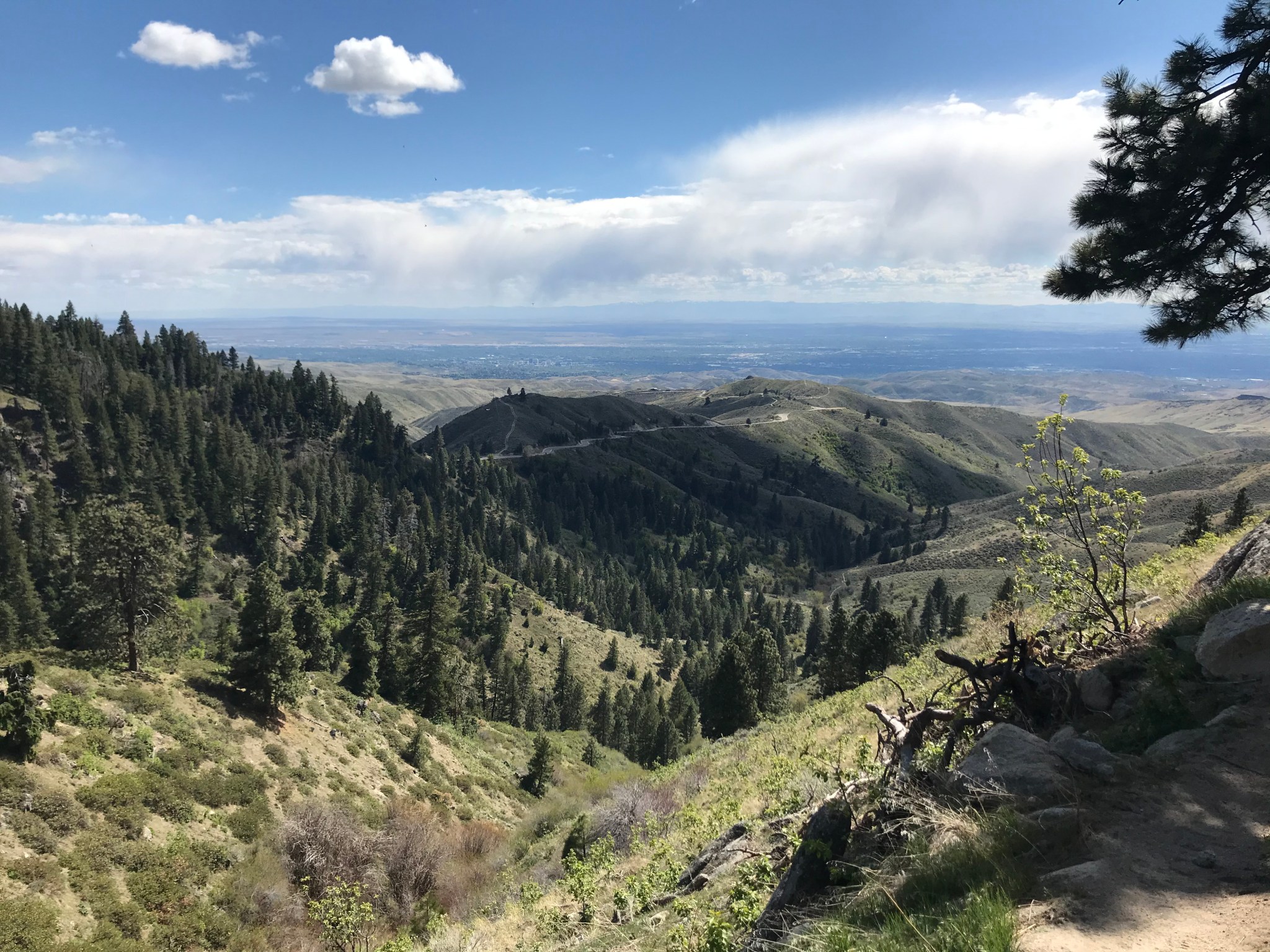 My Favorite Hikes in Boise’s Ridge to Rivers Trail System – Exploring ...